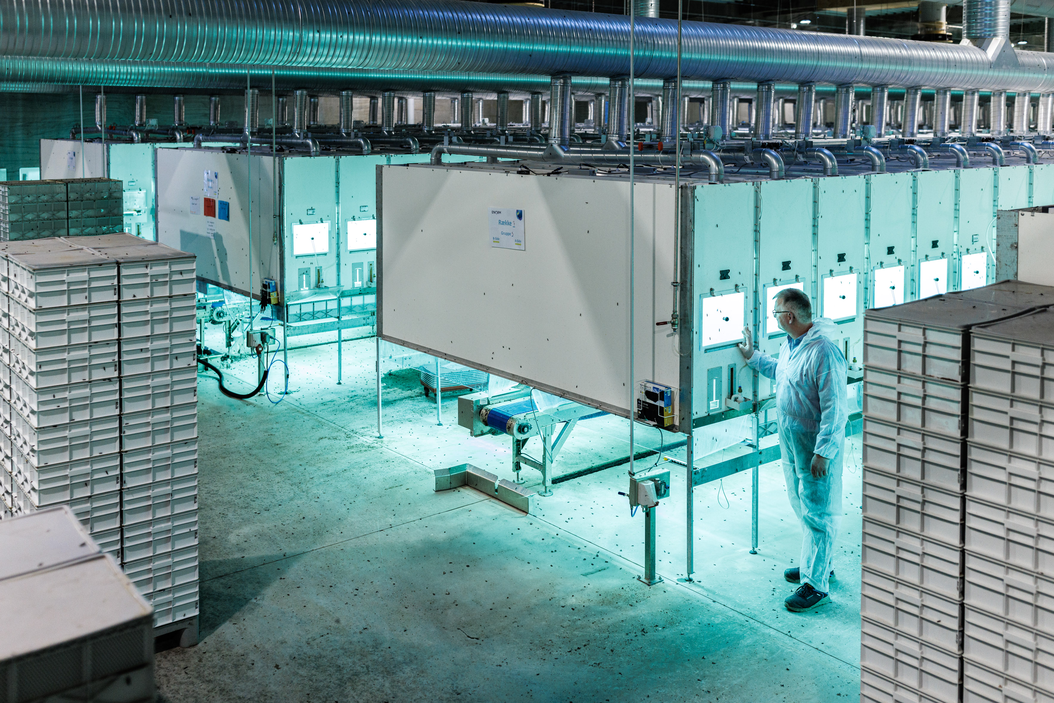 Feed production of the future: The potential of insects as an ...